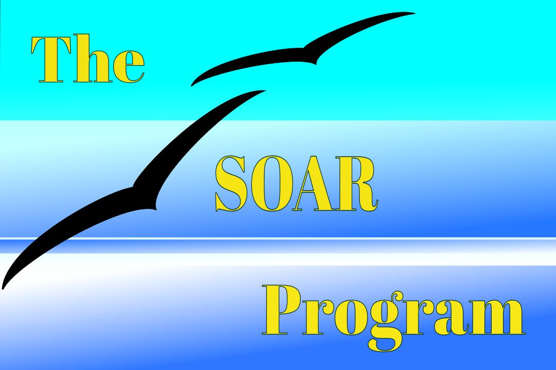 The SOAR Program - ReThinking Education
